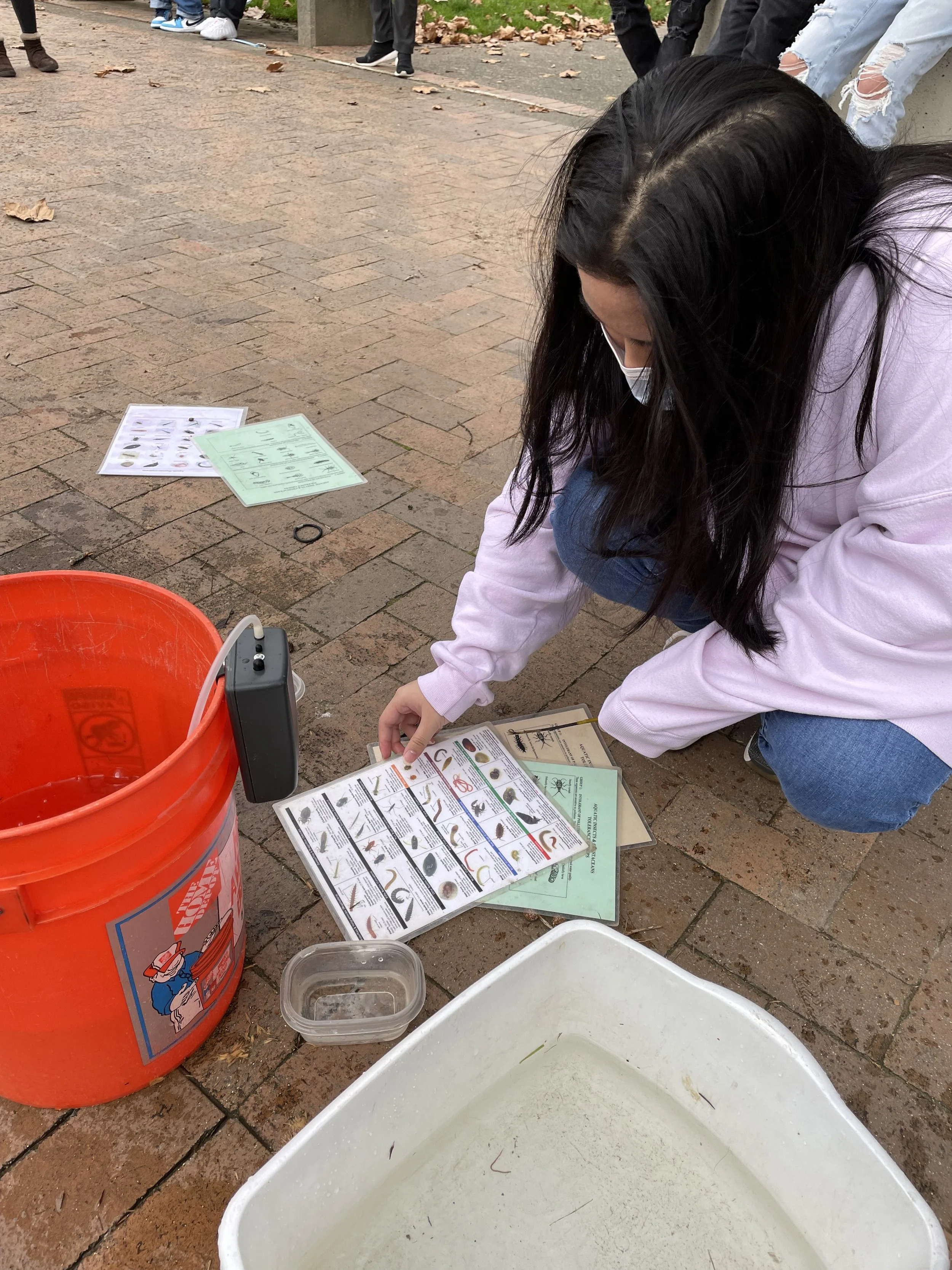 Donate — Nature Vision