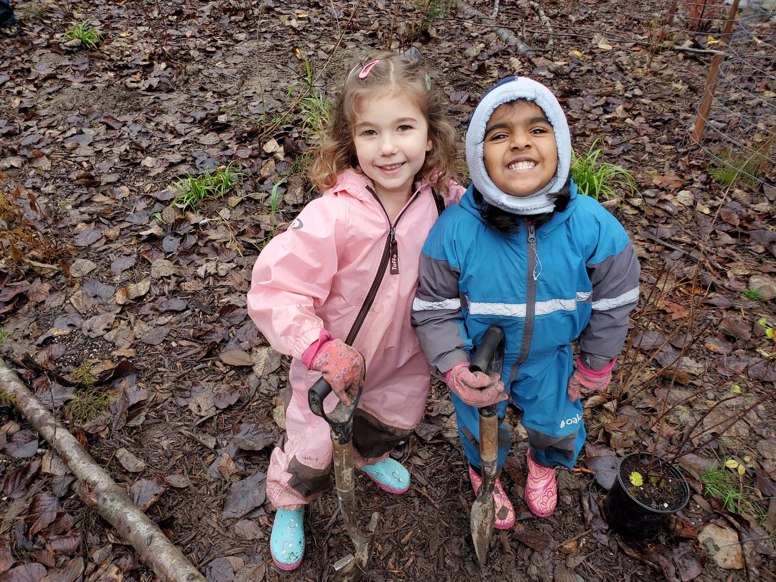 Newsletter — Nature Vision