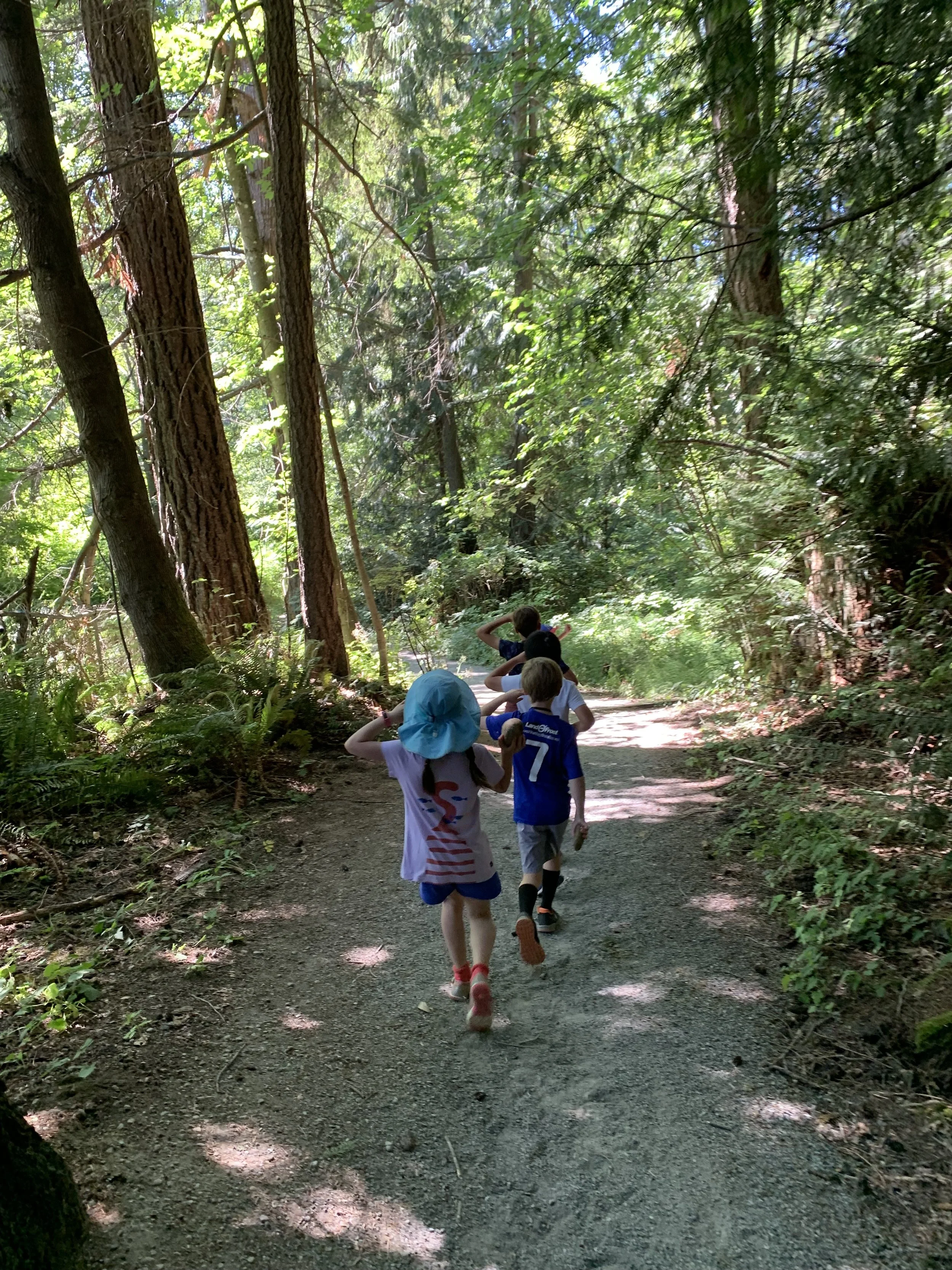 Day Camp and Summer Programs — Nature Vision