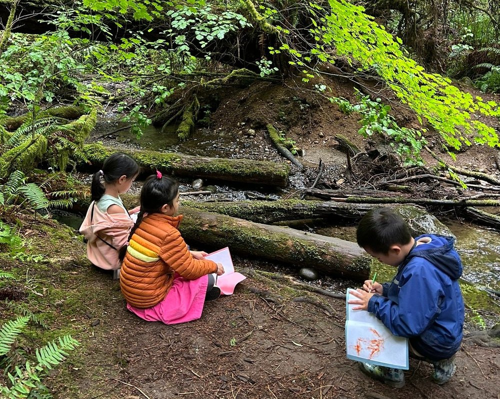 Day Camp and Summer Programs — Nature Vision