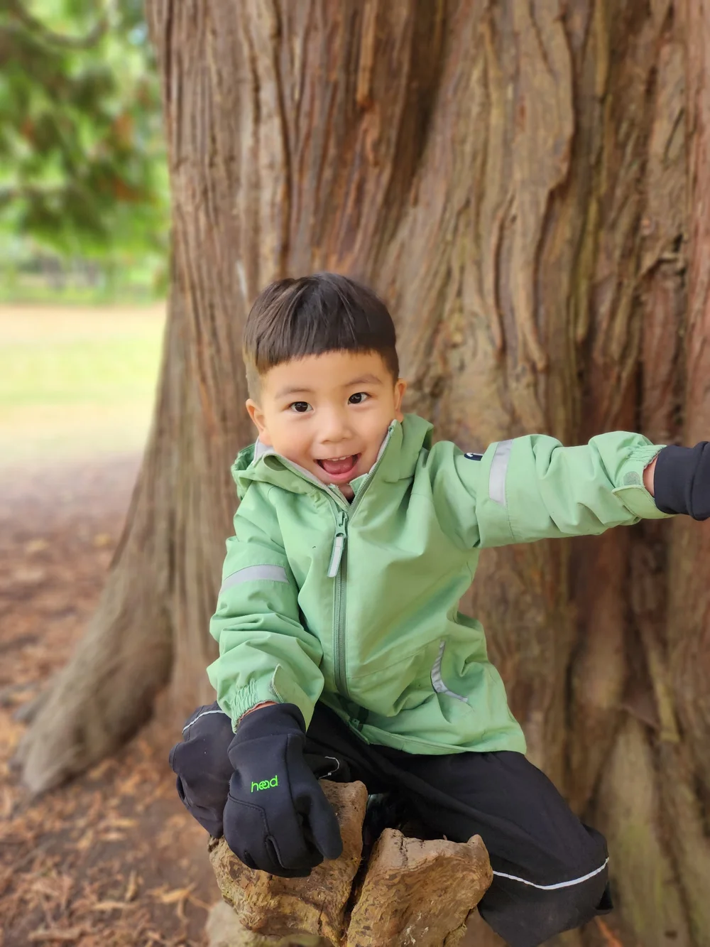 Nature Preschool — Nature Vision