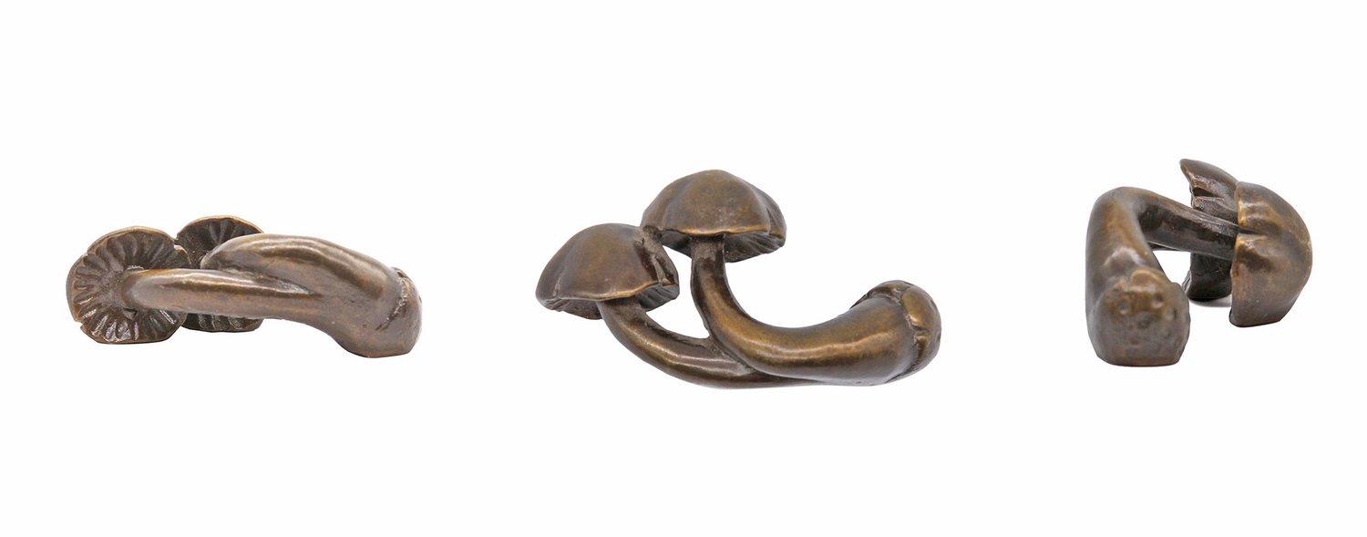 Mushroom a fruit of nature and imagination — Martin Pierce
