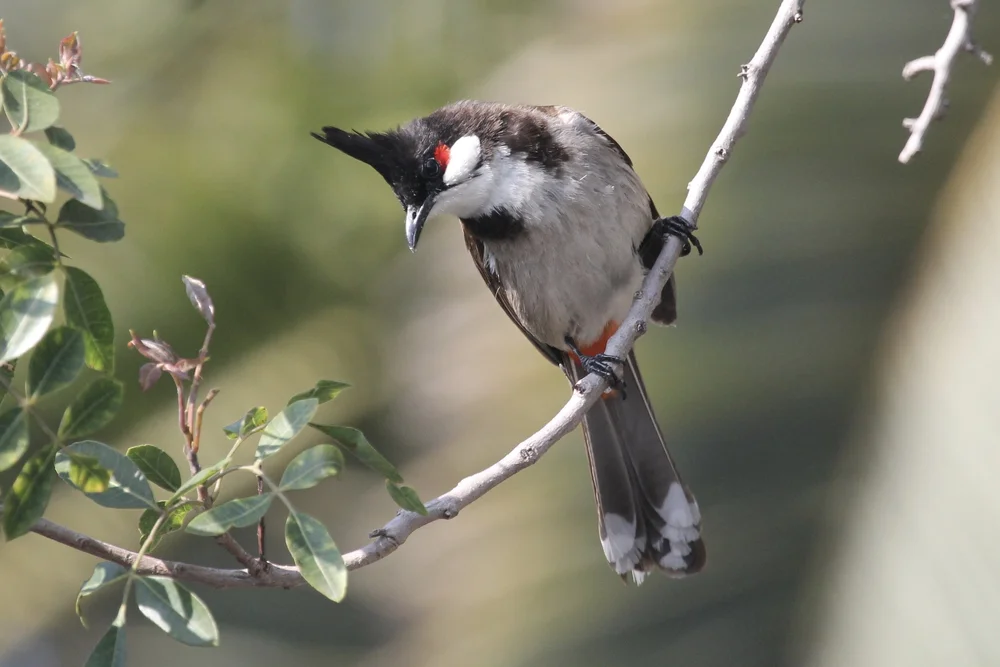 Blog - Martin Pierce