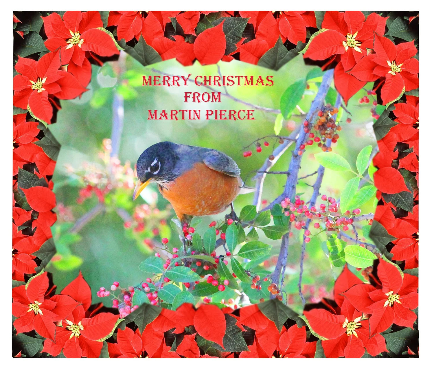 Christmas Greetings — Martin Pierce