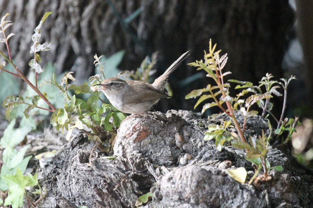 Blog - Martin Pierce