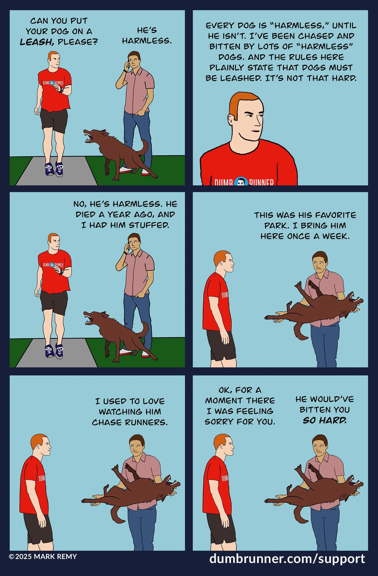 Comics for Runners — Mark Remy's DumbRunner.com