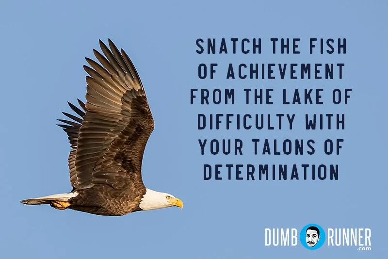 Dumb Runner Poster #246 — Mark Remy's DumbRunner.com