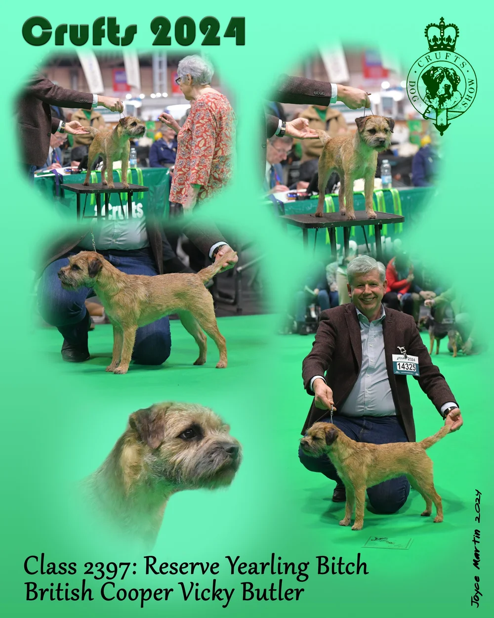 BRITISH COOPER VICKY BUTLER WINS RESERVE AT CRUFTS — British Cooper