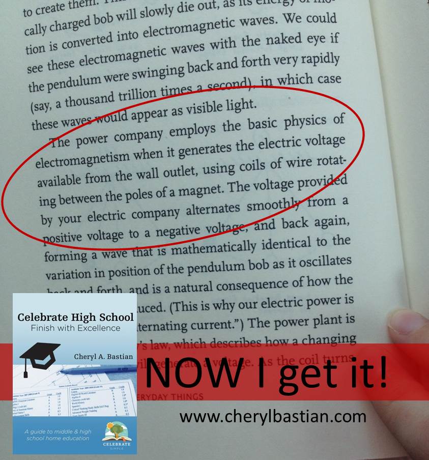 Bringing Physics to Life — Celebrate Simple