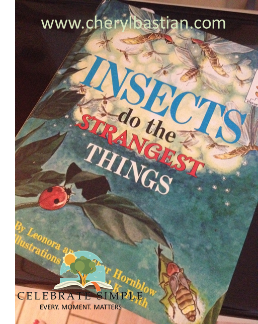 Beating Afternoon Boredom — Celebrate Simple