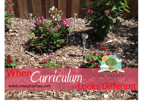 When Curriculum Looks Different — Celebrate Simple