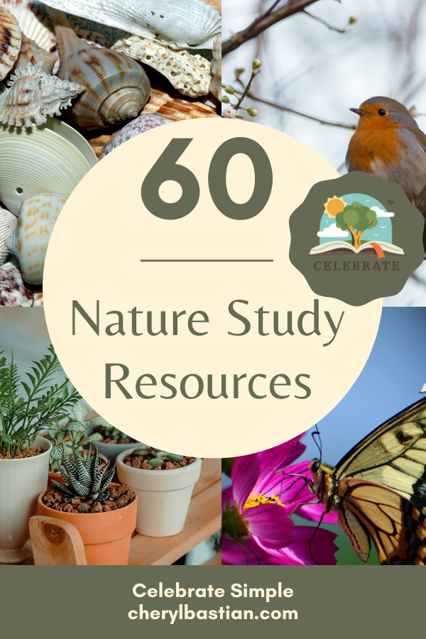 60 Nature Study Resources to Foster Curiosity in Your Children ...