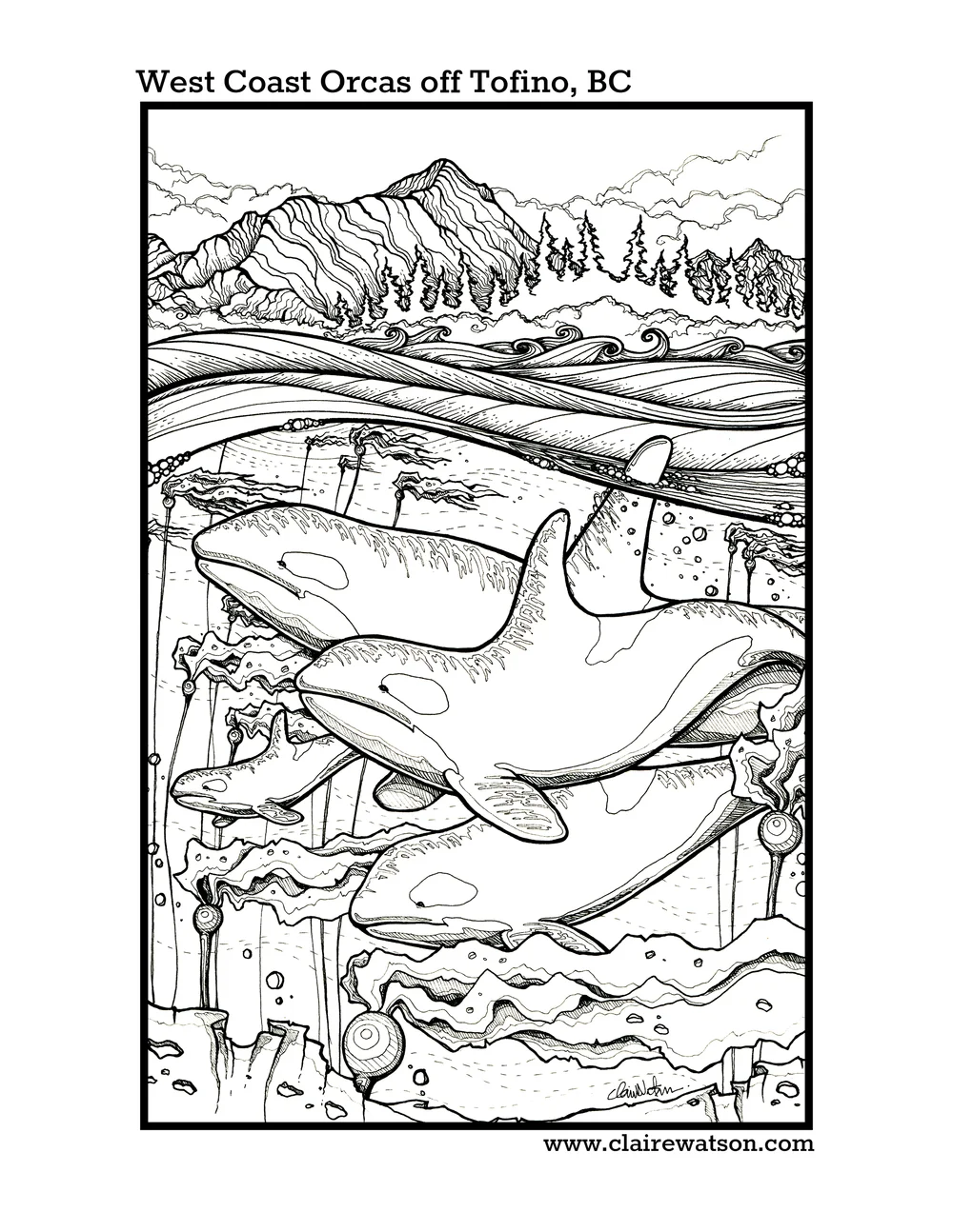Coloring Pages Orca