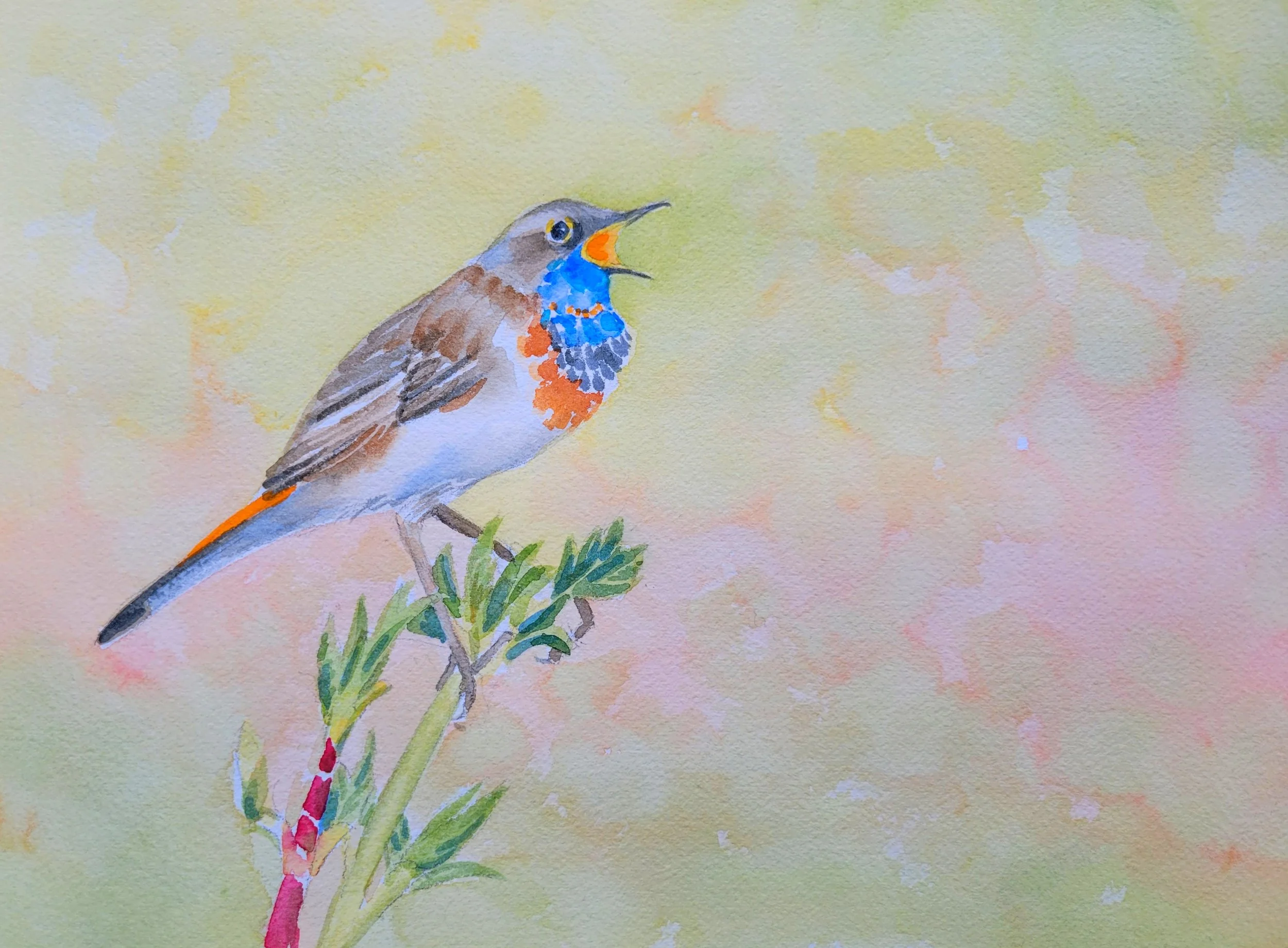 watercolors — Ketubahs, paintings, woodcuts, calligraphy illustraion by ...