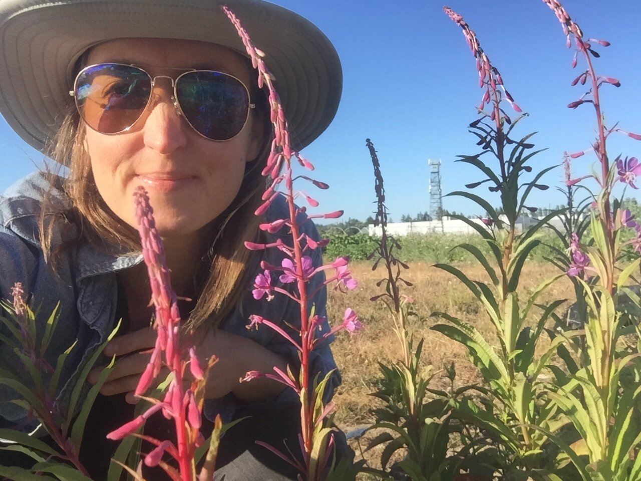 The Farm — Fireweed Farms