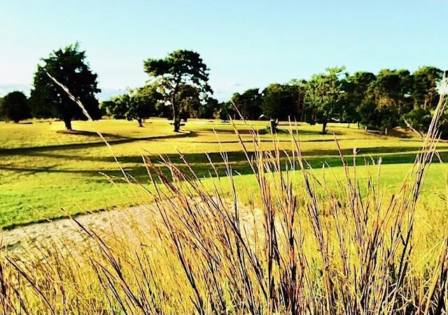 Royal Chappy Golf Course | Edgartown, MA