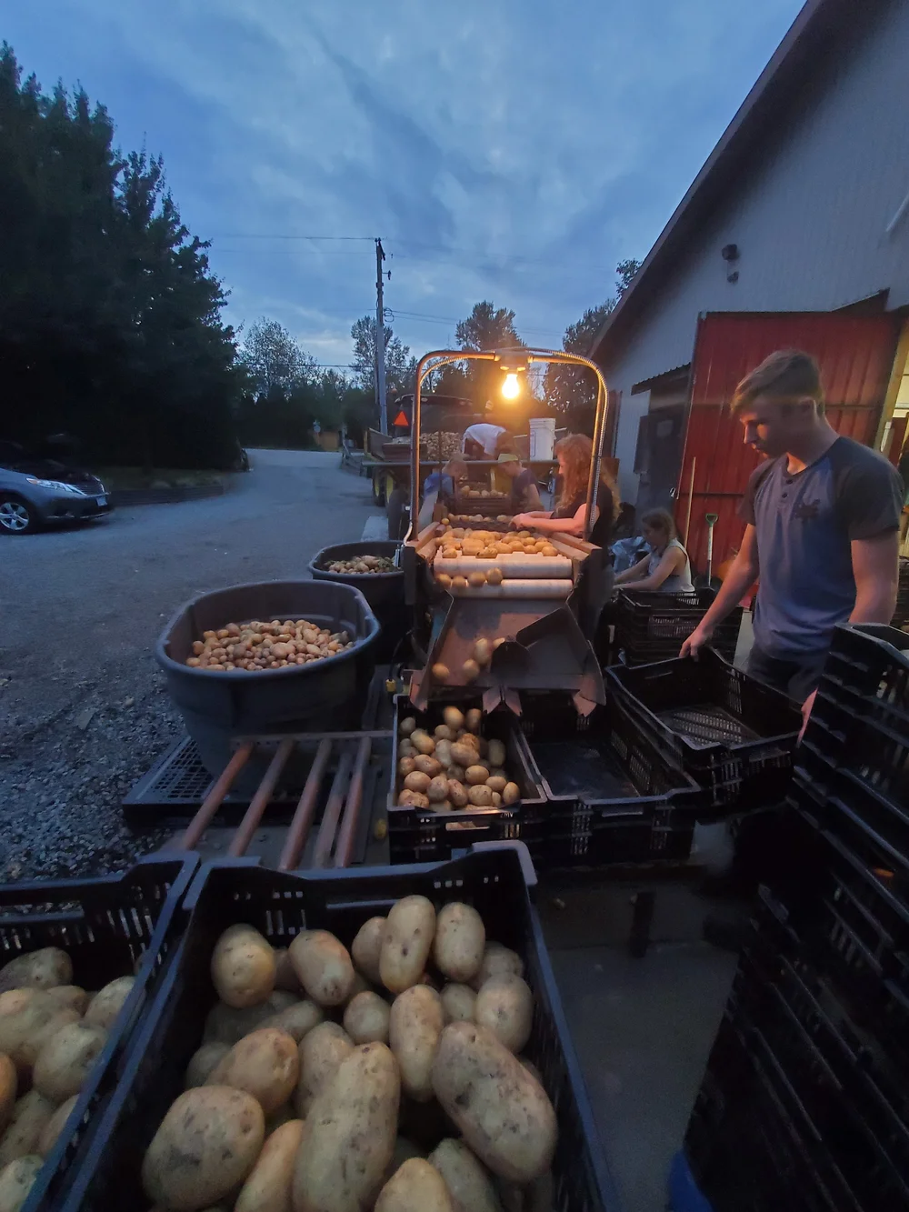 Localicious Produce Box — Rondriso Farms