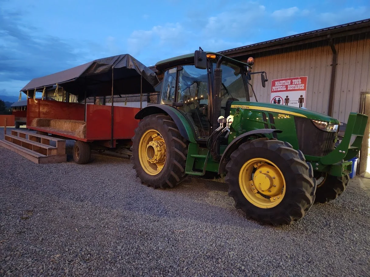 Pumpkin Patch — Rondriso Farms