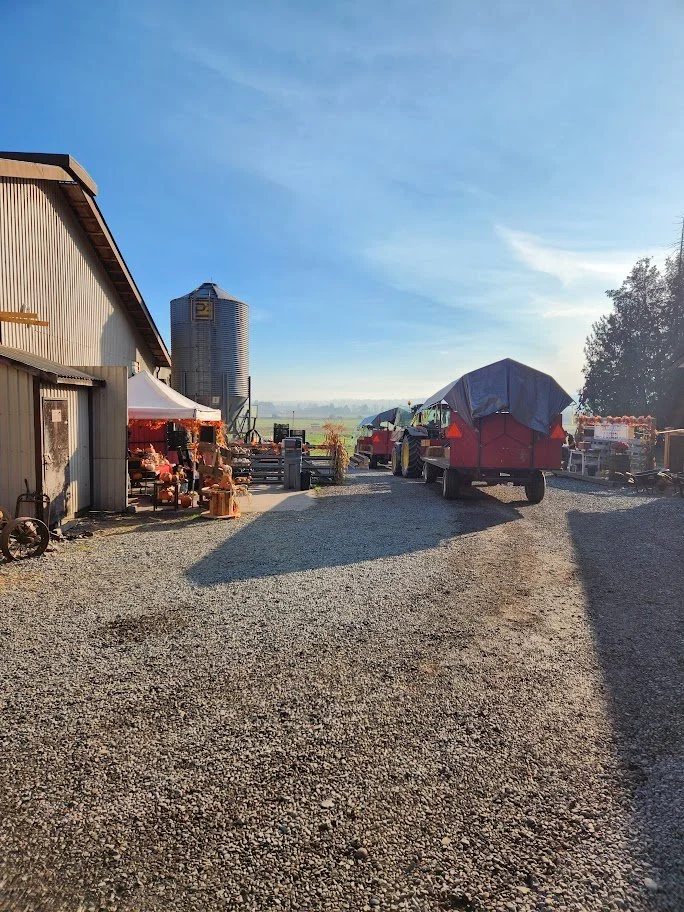 Pumpkin Patch — Rondriso Farms