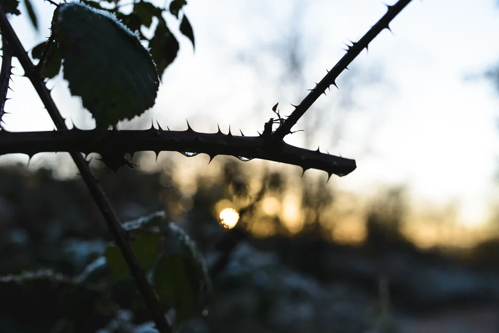 Documentary Wedding Photographer | Worcestershire, Cotswolds & The ...