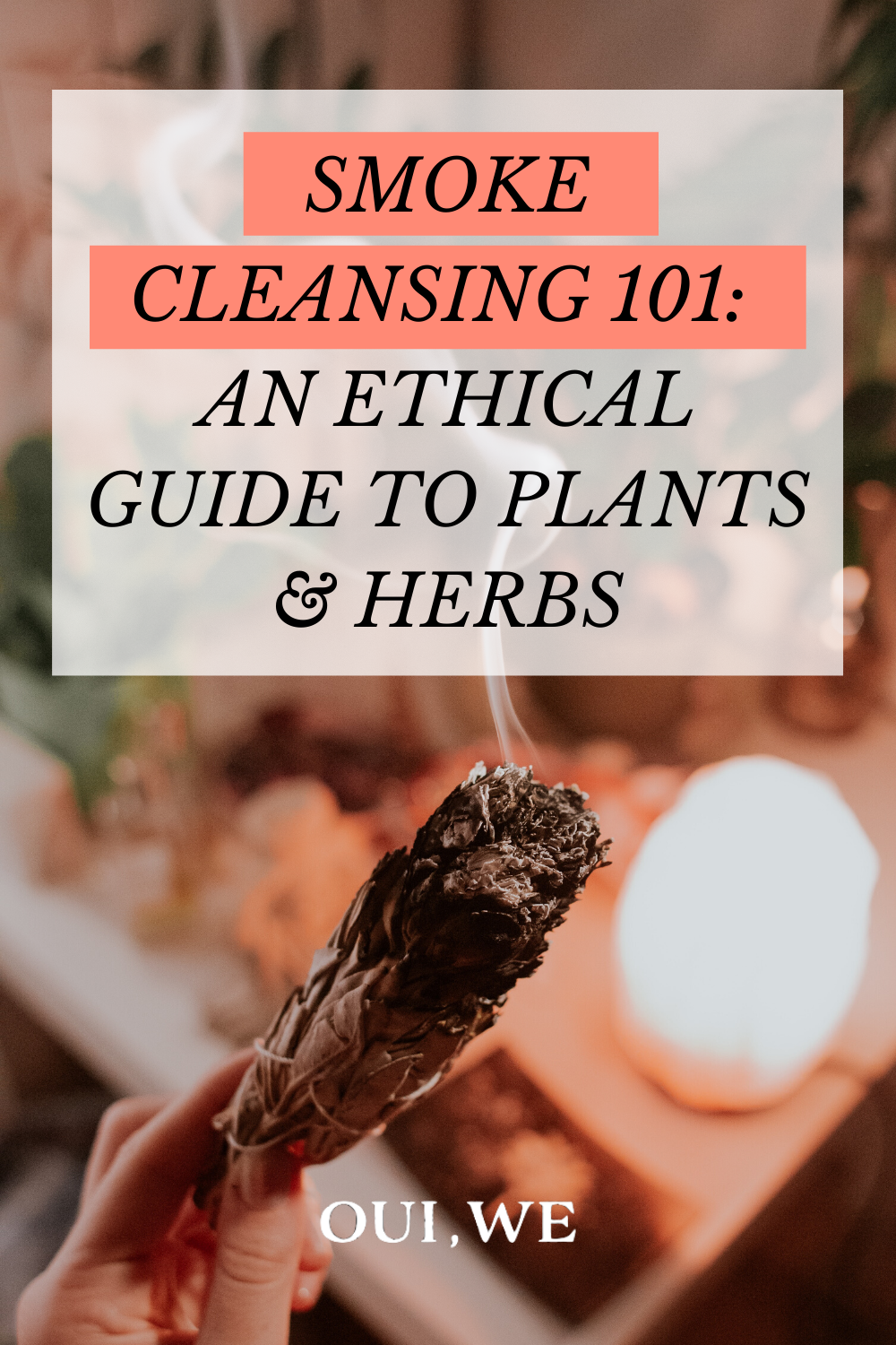 Smoke Cleansing 101: How To Cleanse Your Home or Office with Plants and ...