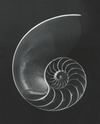 Sacred Geometry Symbols: Unveiling the Mystical Language of Creation ...