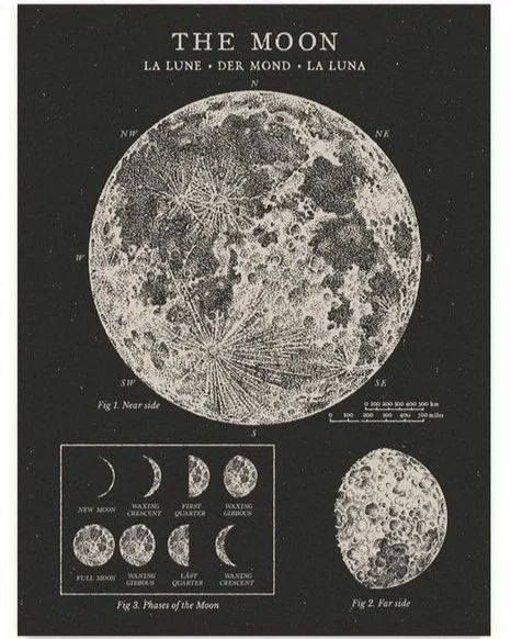 Meaning of Your Birthday's Moon Phase — Oui, We
