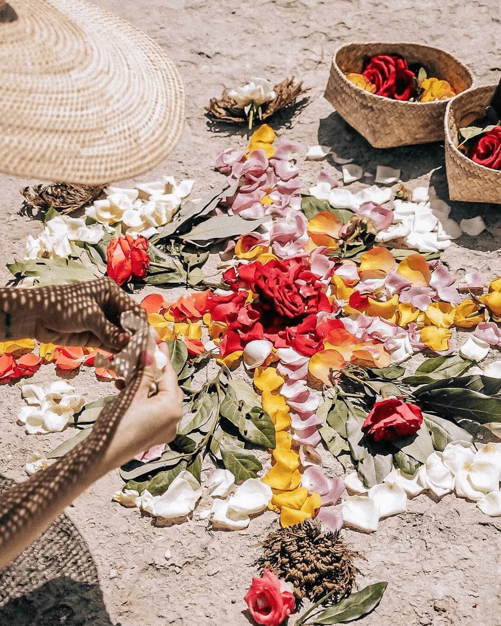 The Human Design Types & Chart, Explained — Oui, We