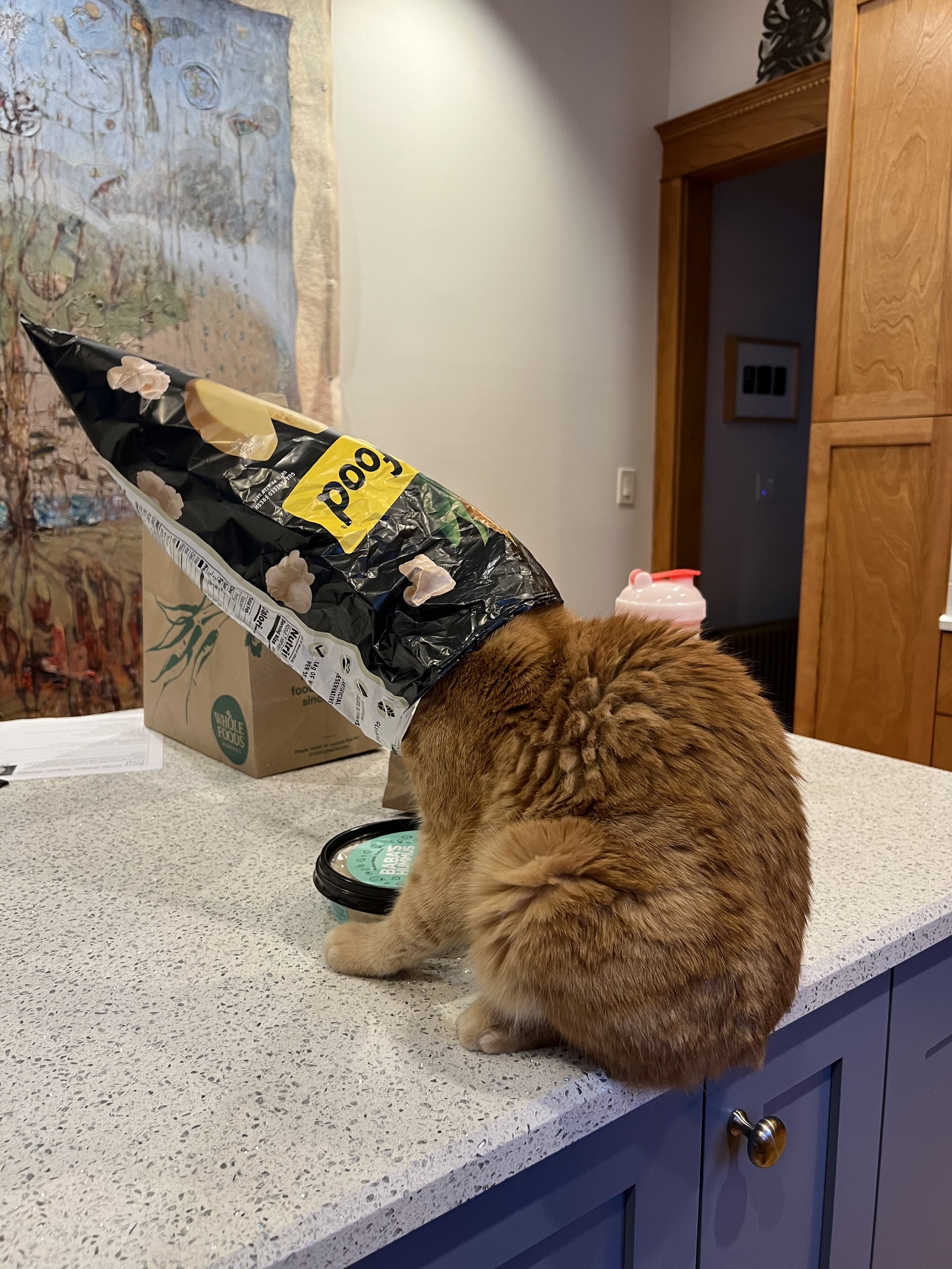 Practices That Change The World #5 — Corporate Rebel Coaching