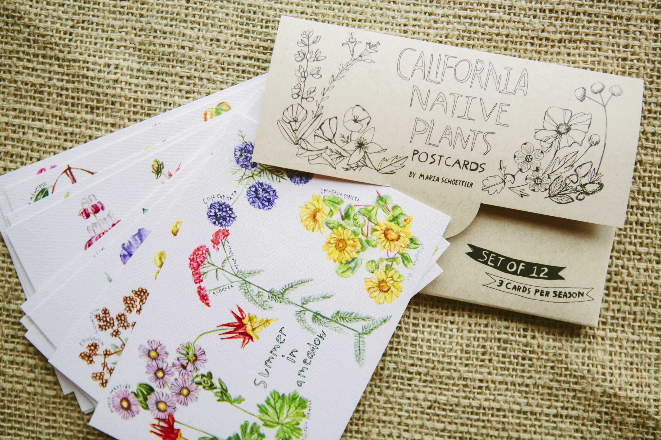 California Native Plants Postcard, Set of 12 — Maria Schoettler