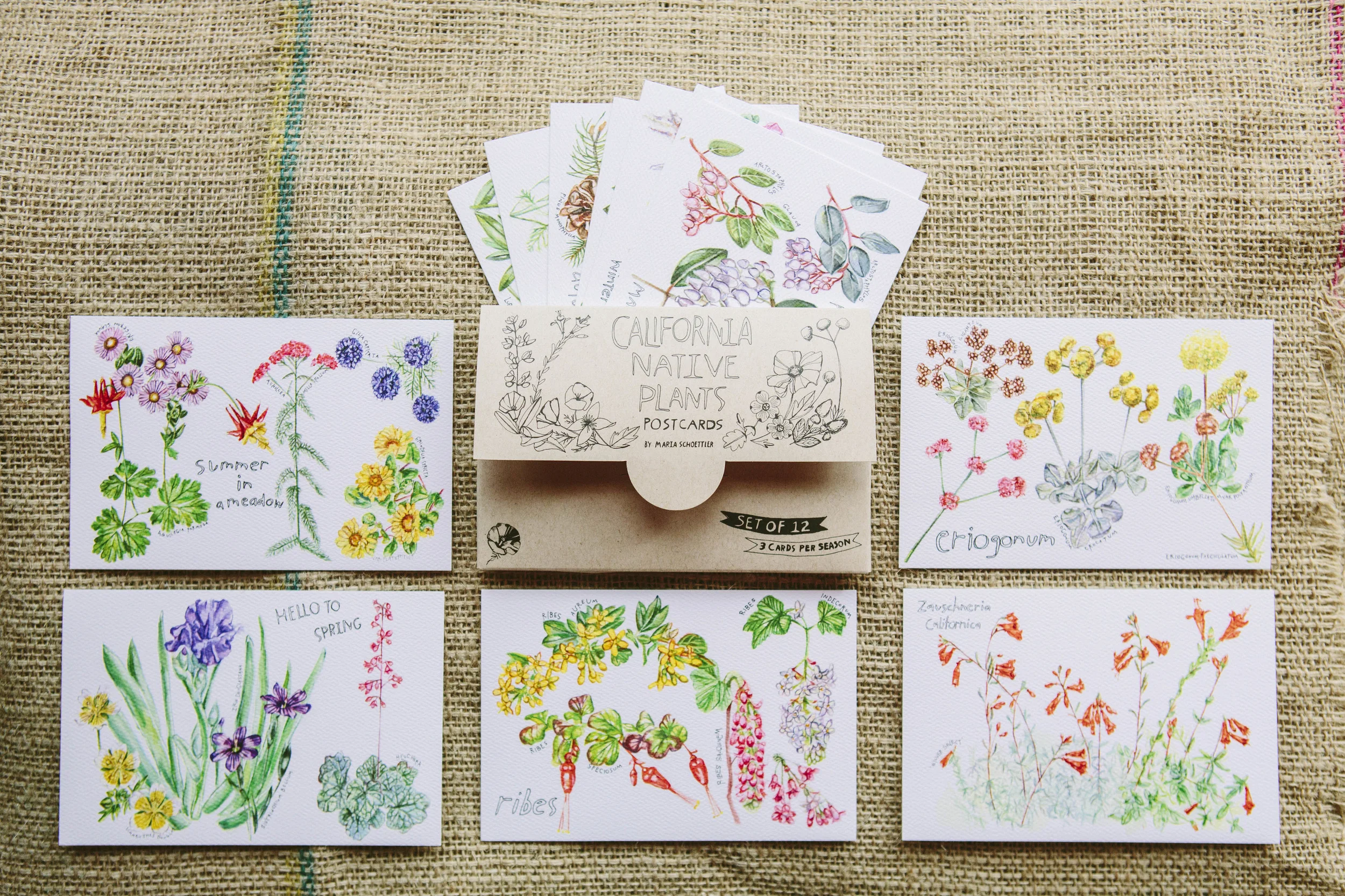 California Native Plants Postcard, Set of 12 — Maria Schoettler