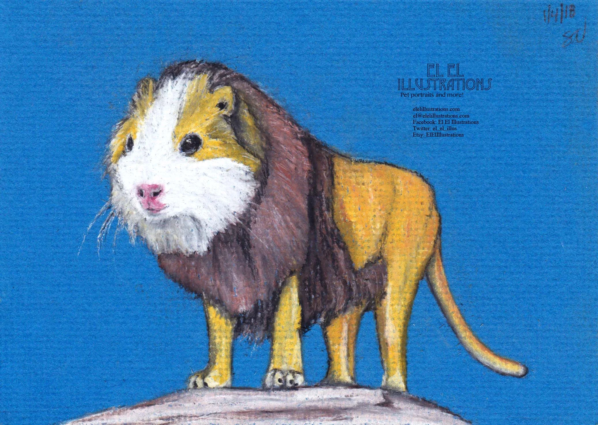 Animal Hybrids Drawings