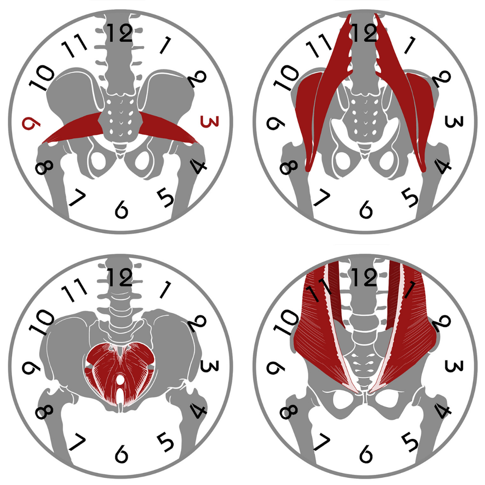 About - DE — Pelvic Clock® Exercise Device