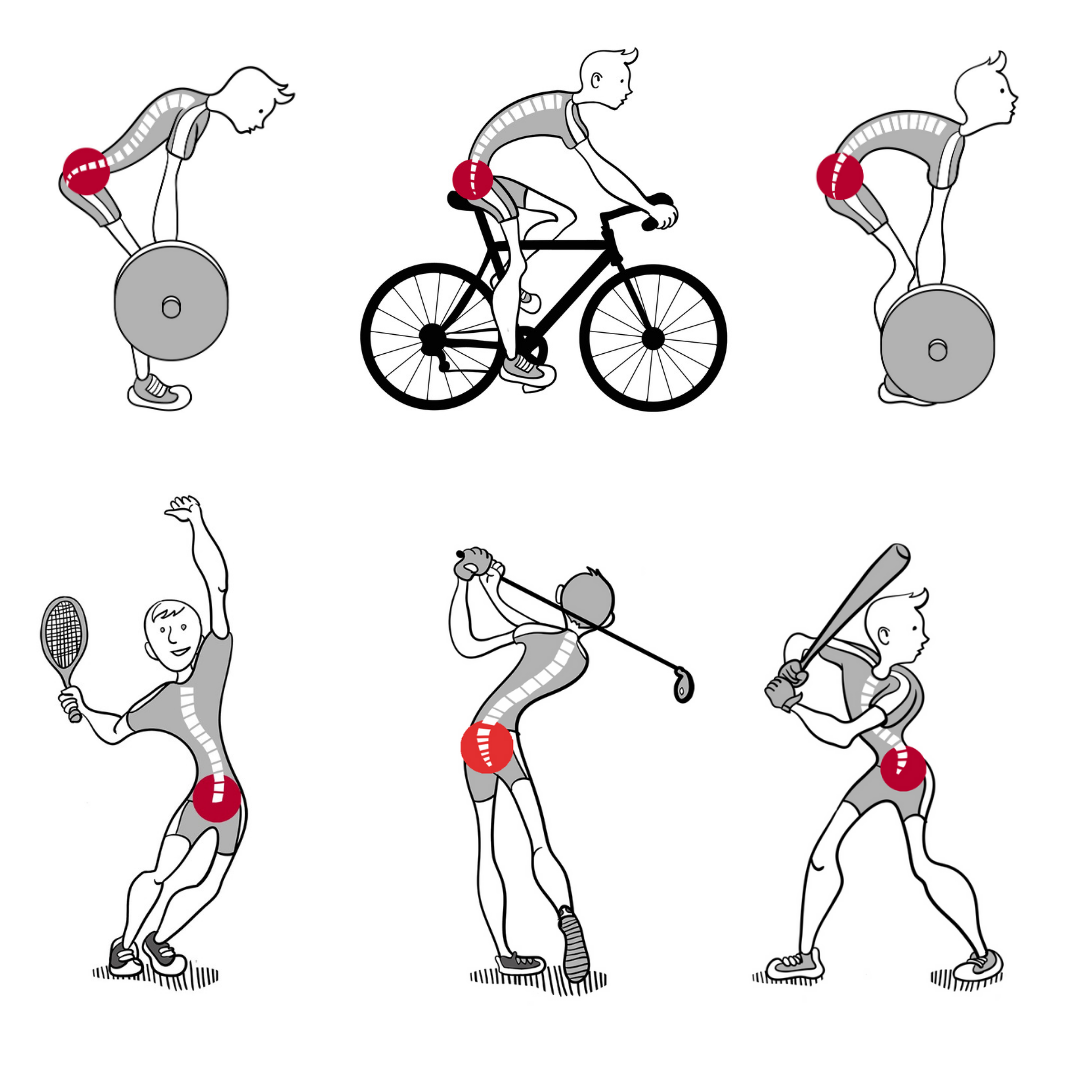How to Keep a Neutral Spine Position — Pelvic Clock® Exercise Device