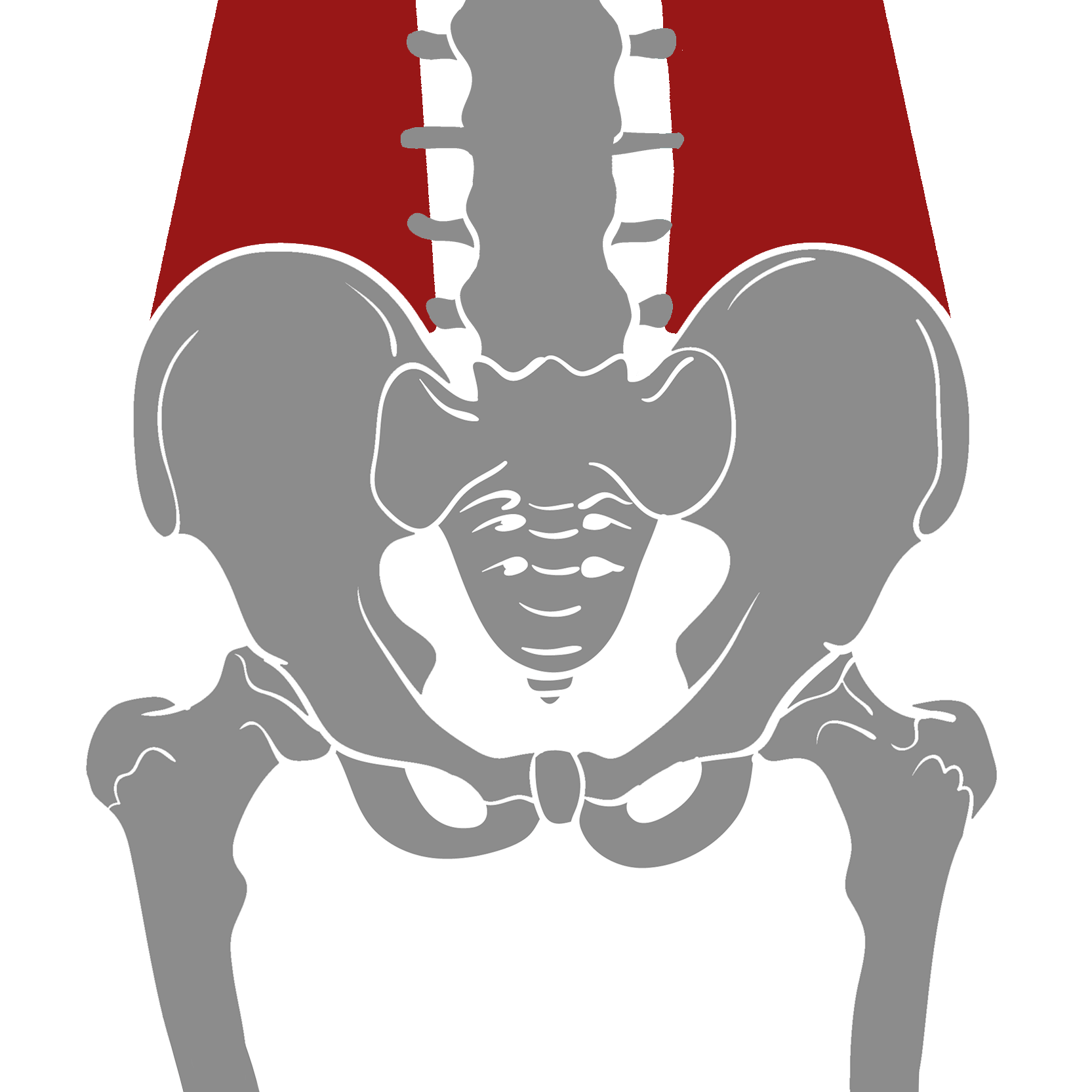 Stretches for Quadratus Lumborum (QL) Muscles — Pelvic Clock® Exercise ...