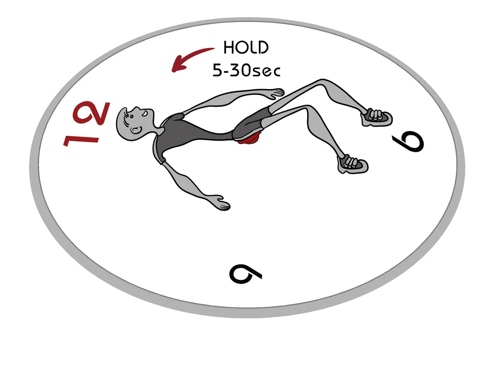 Stretches for Quadratus Lumborum (QL) Muscles — Pelvic Clock® Exercise ...