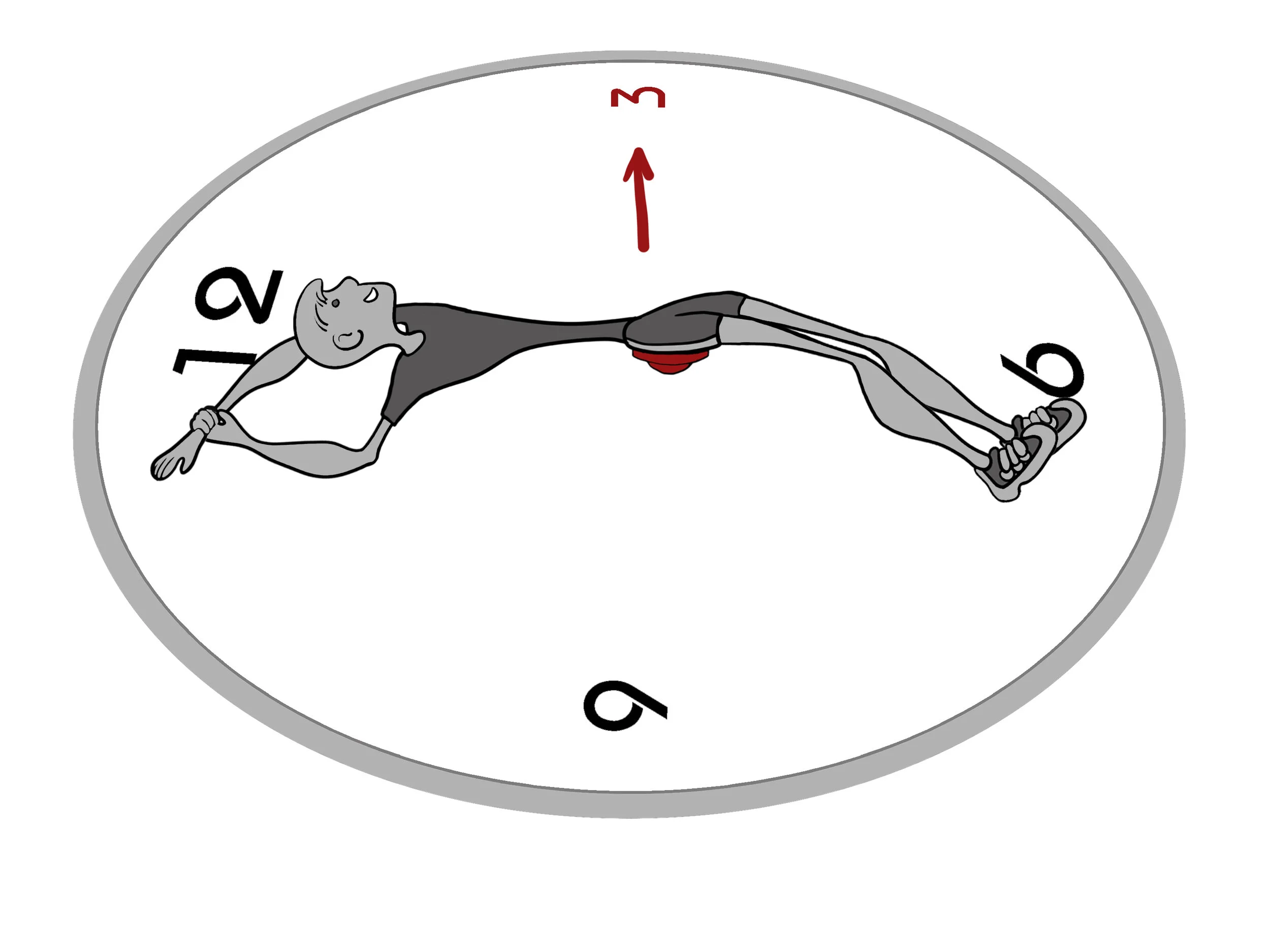 Stretches for Quadratus Lumborum (QL) Muscles — Pelvic Clock® Exercise ...