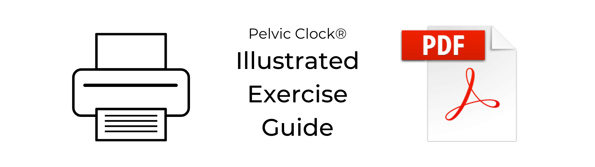 Pelvic Clock® - Dispositivo per esercizi della colonna lombare e le ...