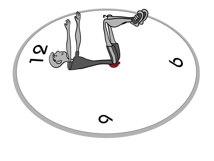 Pelvic Clock® Exercises for Swayback Posture Correction — Pelvic Clock ...