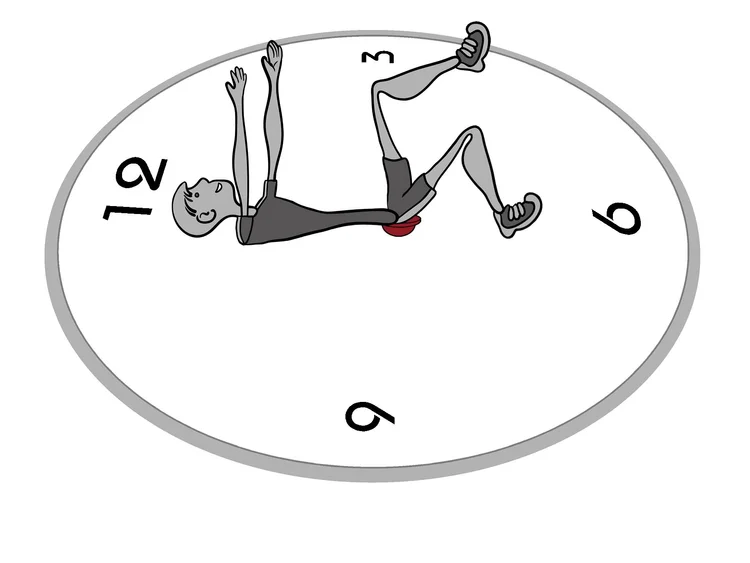 Pelvic Clock® Exercises for Swayback Posture Correction — Pelvic Clock ...