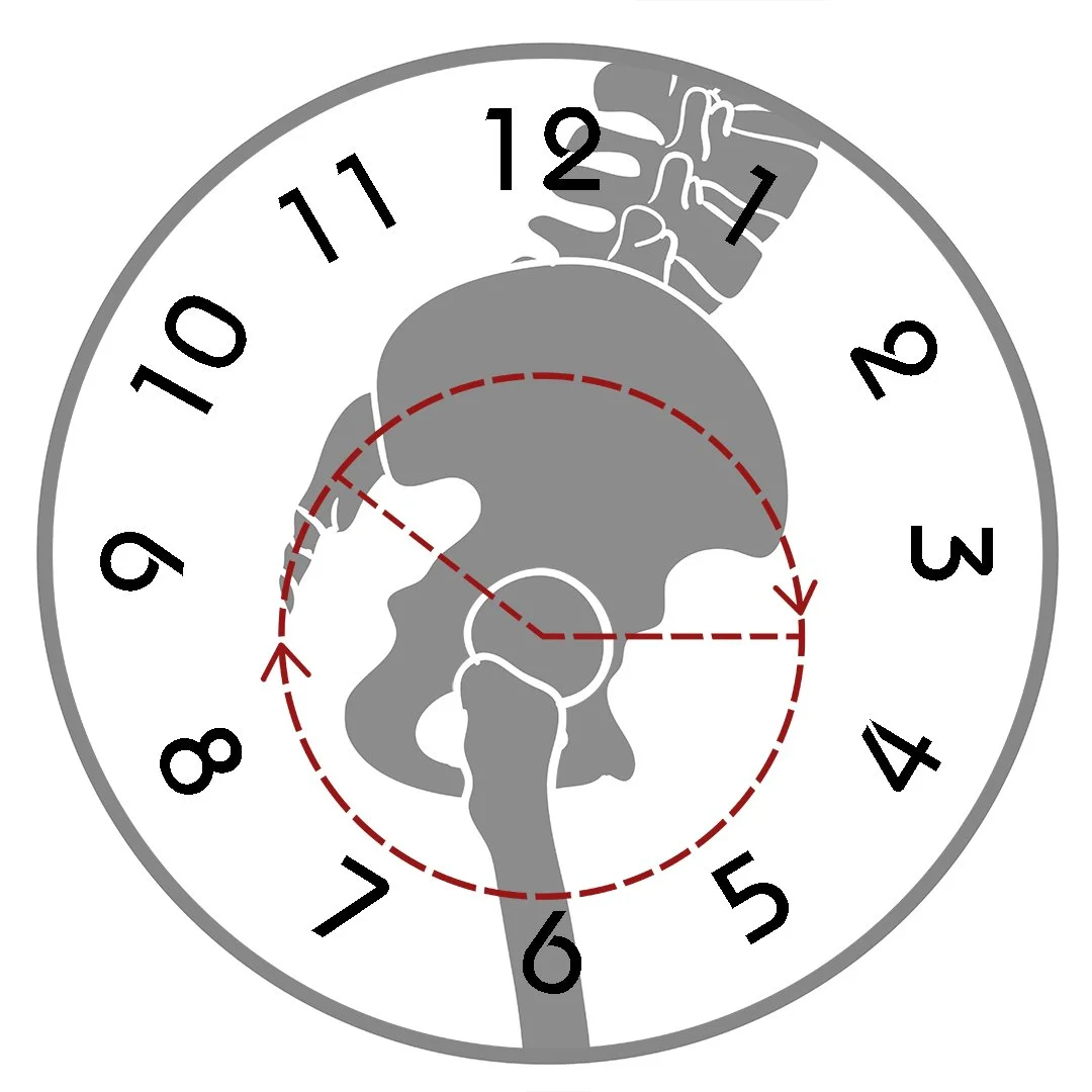 Stretches for Hip Pain Relief — Pelvic Clock® Exercise Device