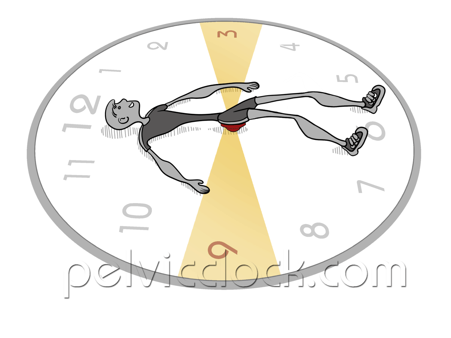 Stretches for Hip Flexors — Pelvic Clock® Exercise Device