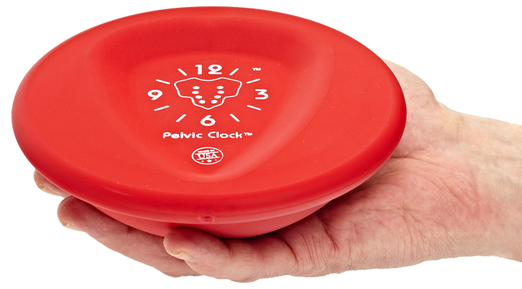 Pelvic Clock® Exercises for Swayback Posture Correction — Pelvic Clock ...
