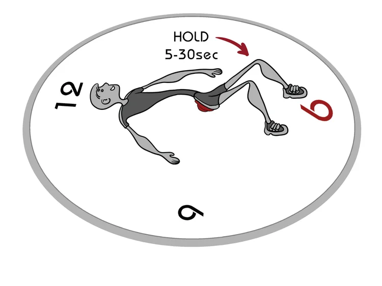 Hip Alignment — Pelvic Clock® Exercise Device