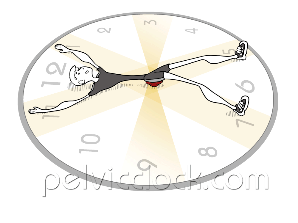 Stretches for Hips & Lower Back — Pelvic Clock® Exercise Device
