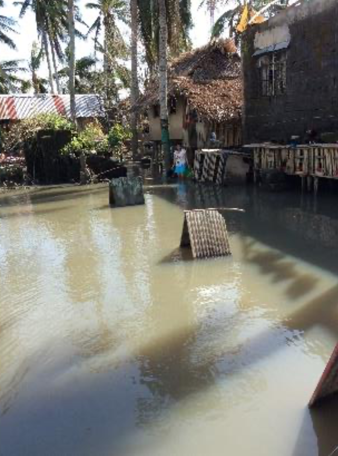 News — The Anawim Inc.