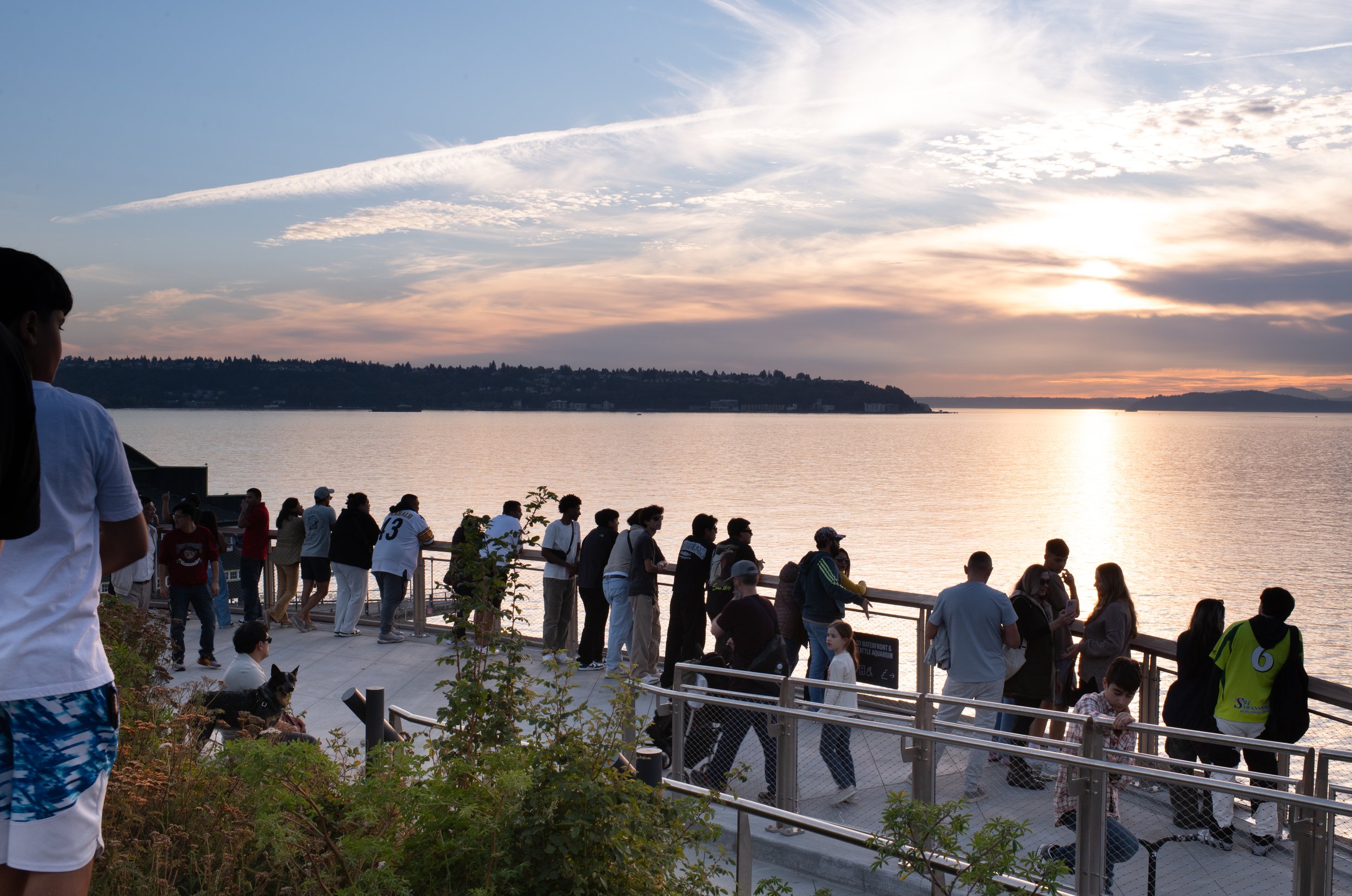Overlook Walk Seattle — Land Morphology