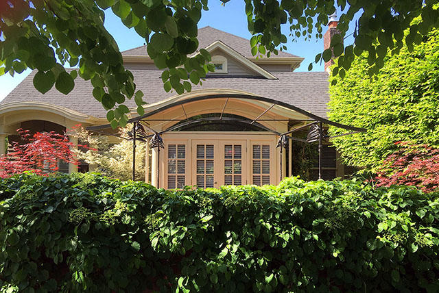 An Arbor as a Work of Art — Land Morphology