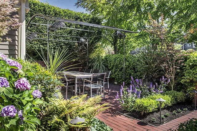 An Arbor as a Work of Art — Land Morphology