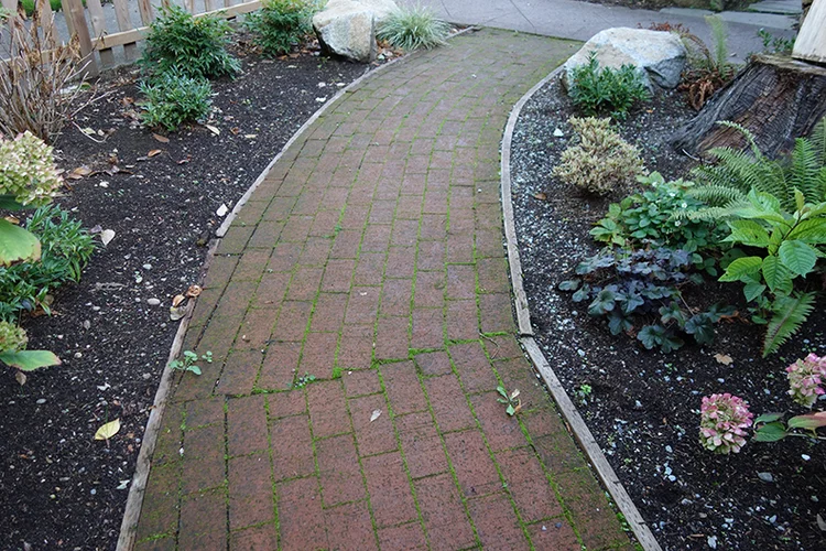 The Cost of Landscape Design and Construction — Land Morphology